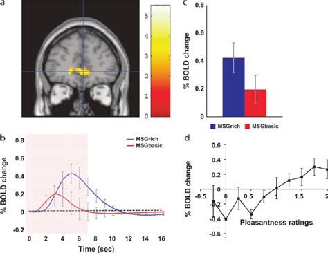 A The Pregenual Cingulate Cortex Was More Strongly Activated When Download Scientific