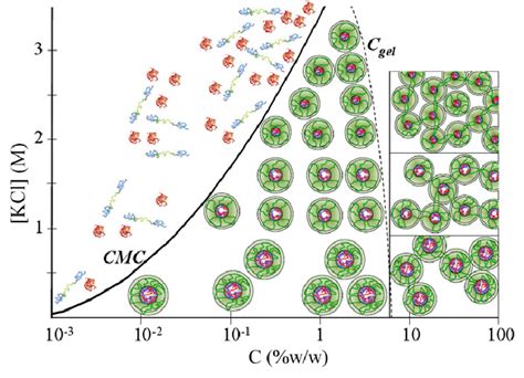 Illustrated Phase Diagram For Stoichiometric Polyelectrolyte Complex