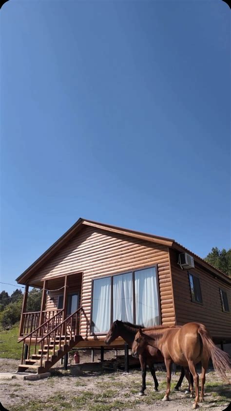 ველევუკა•velevuka Velevuka • Instagram Photos And Videos