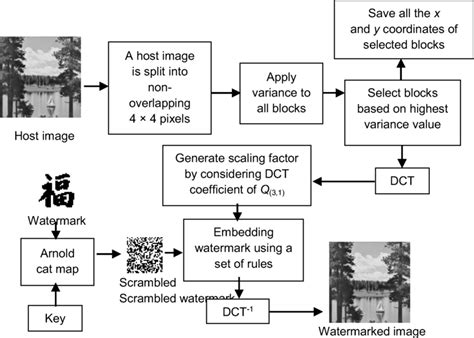 the proposed embedding watermark download scientific diagram