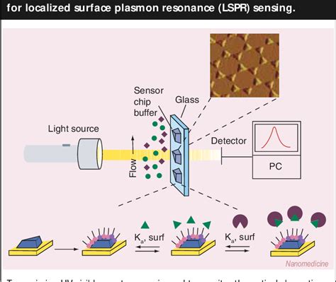 Figure 1 From Localized Surface Plasmon Resonance Biosensors Semantic Scholar