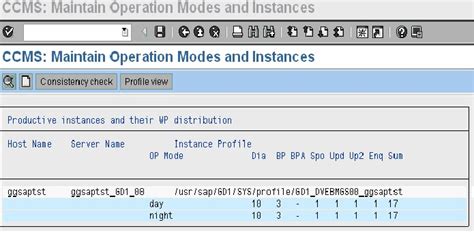 Sap Basis Tutorials How To Setup Operation Modes In Sap