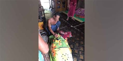 Dvb ဝက်လက်နှင့်ရေးမြို့နယ်တို့တွင် စစ်တပ် လက်နက်ကြီးကြောင့် ပြည်သူ ၂ ဦး သေဆုံး