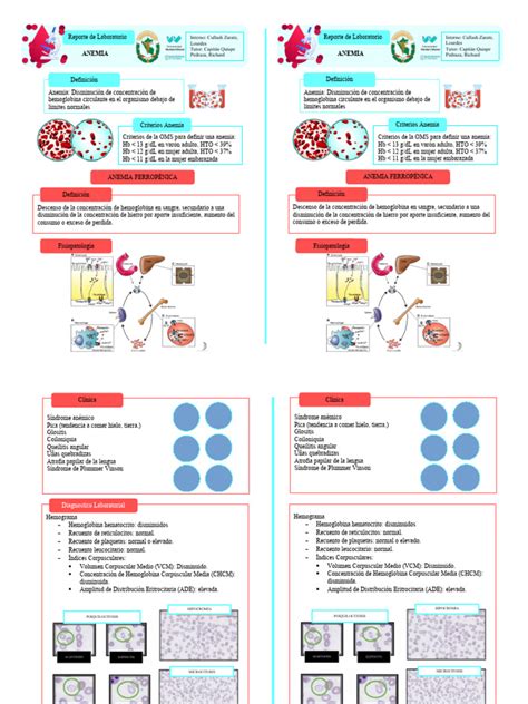 Anemia Ferropenica Pdf Anemia Enfermedades Y Trastornos