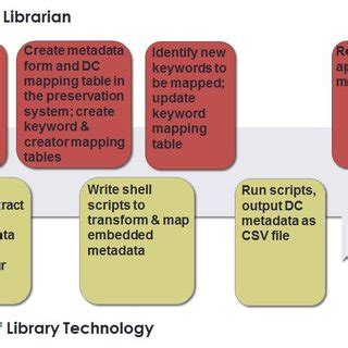 Workflow For Initial Set Up Download Scientific Diagram
