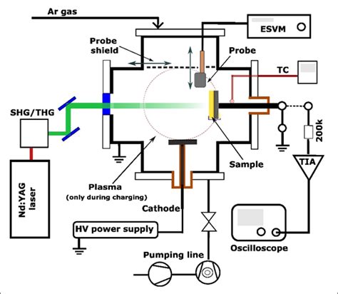 Laser Stimulated Electron Photodetachment Princeton Collaborative Low Temperature Plasma