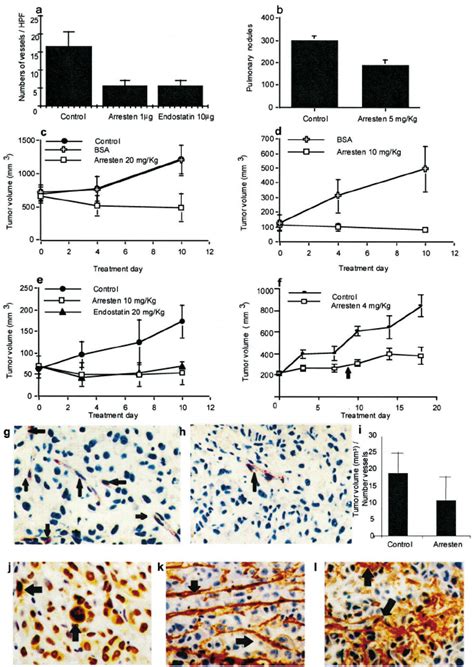 Matrigel Plug Assay Before Injection Into C57bl6 Mice Matrigel