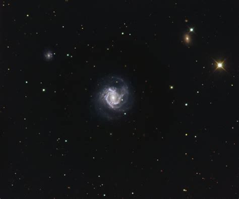 m61