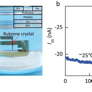 Flexible Temperature Sensor A Photograph Of The Flexible Sensor Download Scientific Diagram