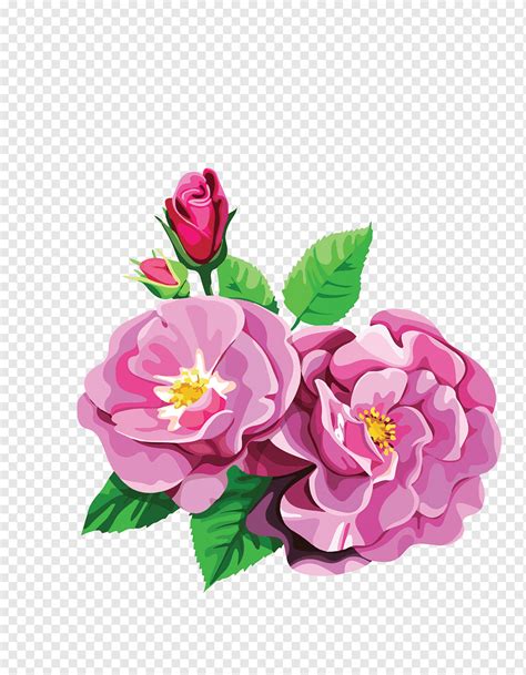 Flower Png Pngwing