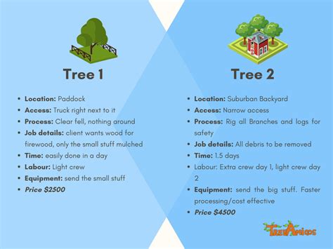 Tree Removal Cost Comparison Tree Amigos