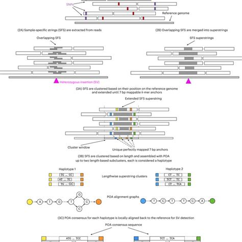 example of an sv at a medically relevant gene that has been correctly