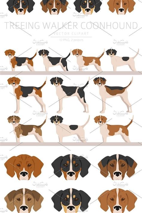 Treeing Walker Coonhound Clipart Treeing Walker Coonhound Coonhound Puppy Coonhound