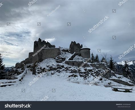 Cartera De Fotos E Imágenes De Stock De Katja Mauerhoff Shutterstock