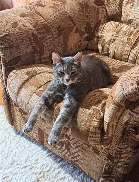 So Cute Position Raww