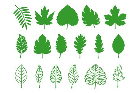 Leaf Stencil Leaves Bundles Stencil Tropical Leaves Stencil By Doodle Cloud Studio Leaf Stencil Leaves Bundles Stencil Tropical Leaves Stencil By Doodle Cloud Studio