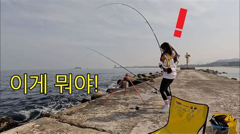 이 녀석은 한 번도 못 먹어봤는데 살아있을 때 회로 먹어보자 Youtube