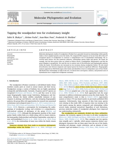 2017 tapping the woodpecker tree for evolutionary insight pdf molecular phylogenetics