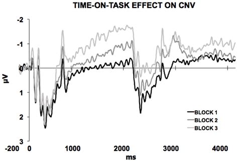 Time On Task Effect The Erp Activity Plotted Separately For The First