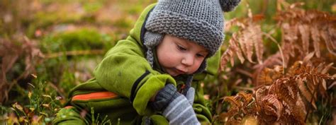 Lice Vs Ticks Vs Fleas How Are They Different