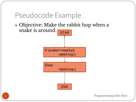 Programming With Alice Class Overview Ppt