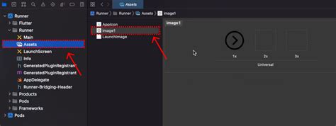 Flutter 应用程序中的 Quick Actions 猫哥 wiki ducafecat tech