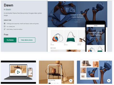 Shopify Dawn Theme Customization Or Bug Fixing Upwork