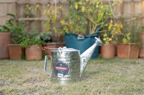 The 8 Best Outdoor Watering Cans Of 2026 Reviews By Your Best Digs