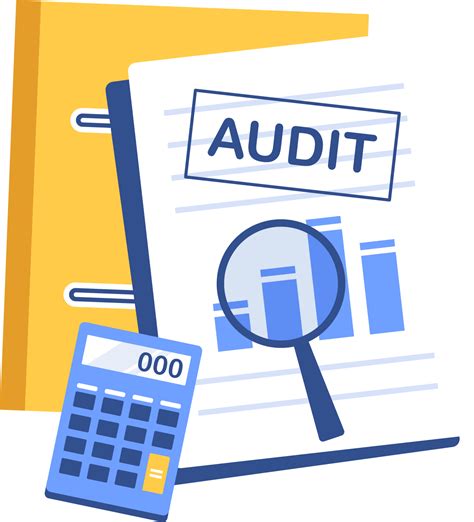 Audit And Assurance Rapidvise