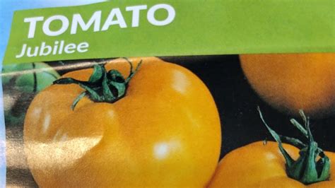 Why I Hate Pea Pellets For Starting Seeds Gardening Garden Planting