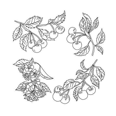 Premium Vector Cherry Hand Drawn Doodle Illustrations Vector Set