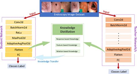 Figure From Learning Through Guidance Knowledge Distillation For Endoscopic Image