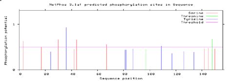 Fig S2 In Silico Analysis Of Putative Phosphorylation Sites Of Moss Download Scientific