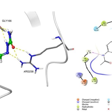 Binding Patterns Of Compounds C4 As Predicted By Glide Docking