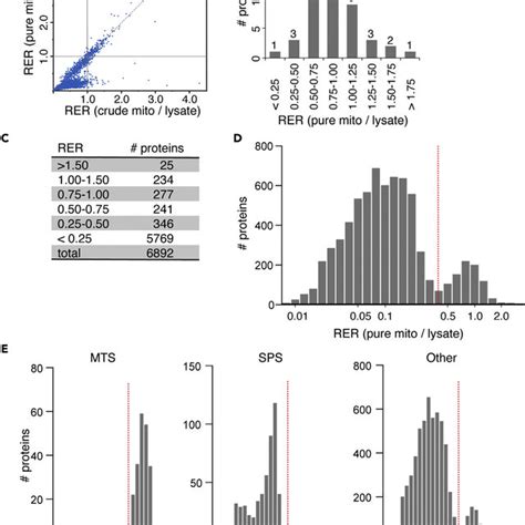 Prediction Of Mitochondrial Localization Based On Relative Enrichment Download Scientific