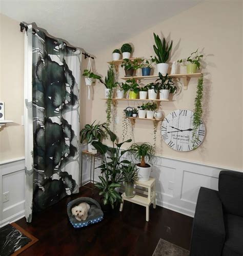 거실 화분 선반 인테리어 식물 재배용 Led조명 플랜테리어 인테리어 Led 조명 거실