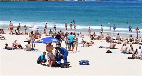 Позор Краснодарского края узнайте какие курорты лучше избегать