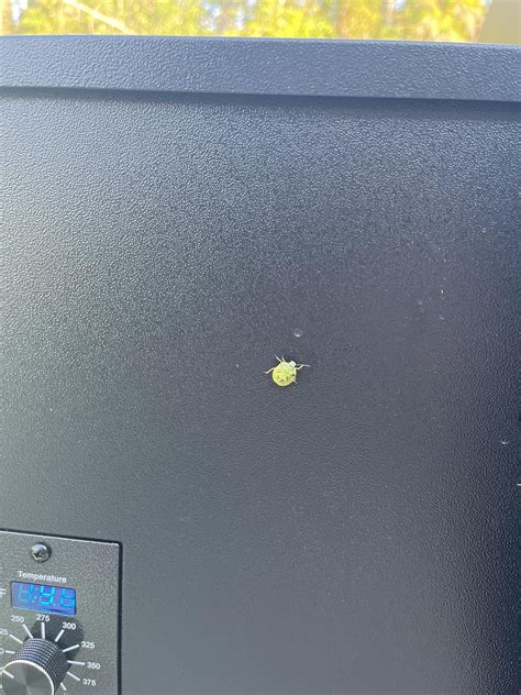 Invasive Rwhatsthisbug