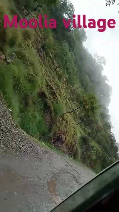 Moolia Village Youtube