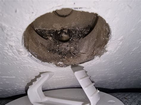 Opgelost Wegwerken Van Een Netwerkkabel Ziggo Community