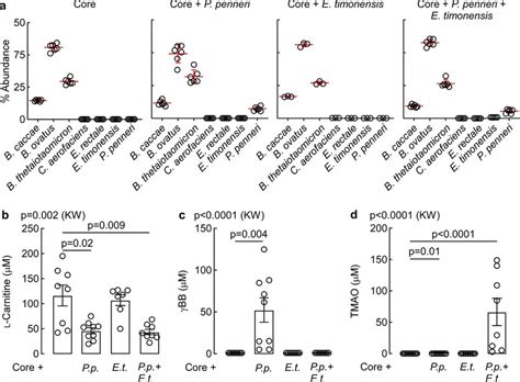 Relative Abundance And Functional Metabolism Of Core Community