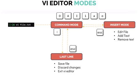 Boring VIM Editor Mokhlesur Mahin