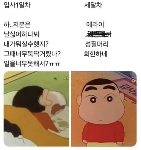 라이프집 우리는 집에서 무엇이든 할 수 있지