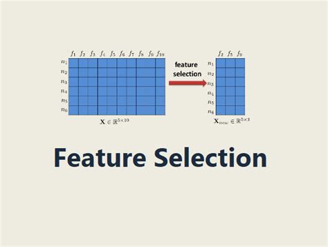feature selection technique made simple with python code