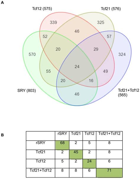 Transcriptome Analysis Of Sry And Tcf21 Actions Venn Diagram A With Download Scientific
