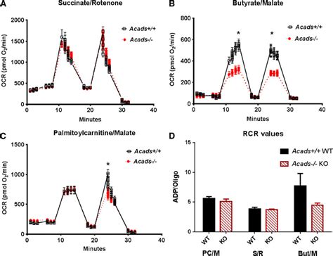 Mitochondrial Oxygen Consumption Rate Legend Mitochondrial Oxygen