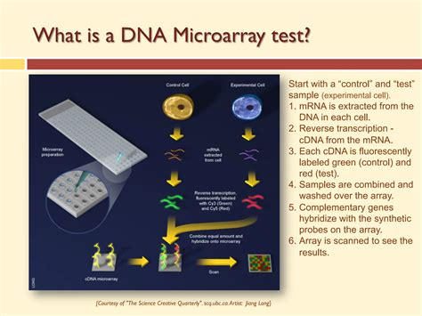 DNA Microarray Presentation Dna Fingerprinting Dna Biotechnology PDF Genetics Science