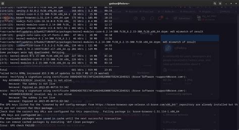 Help Brave Gpg Check Failed While Upgrade My System Rfedora