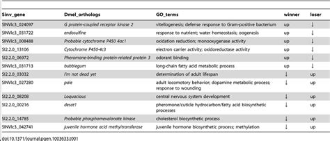 patterns of expression of the most relevant transcripts that were
