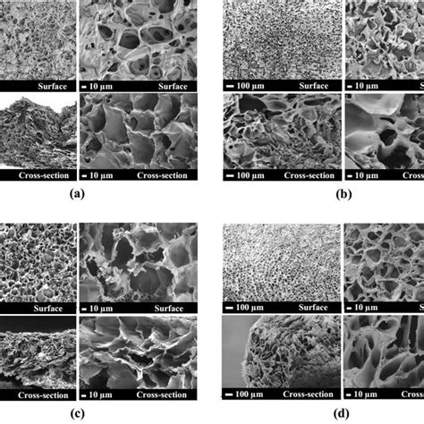 Fe Sem Micrographs Of The Surface And Cross Section Of A